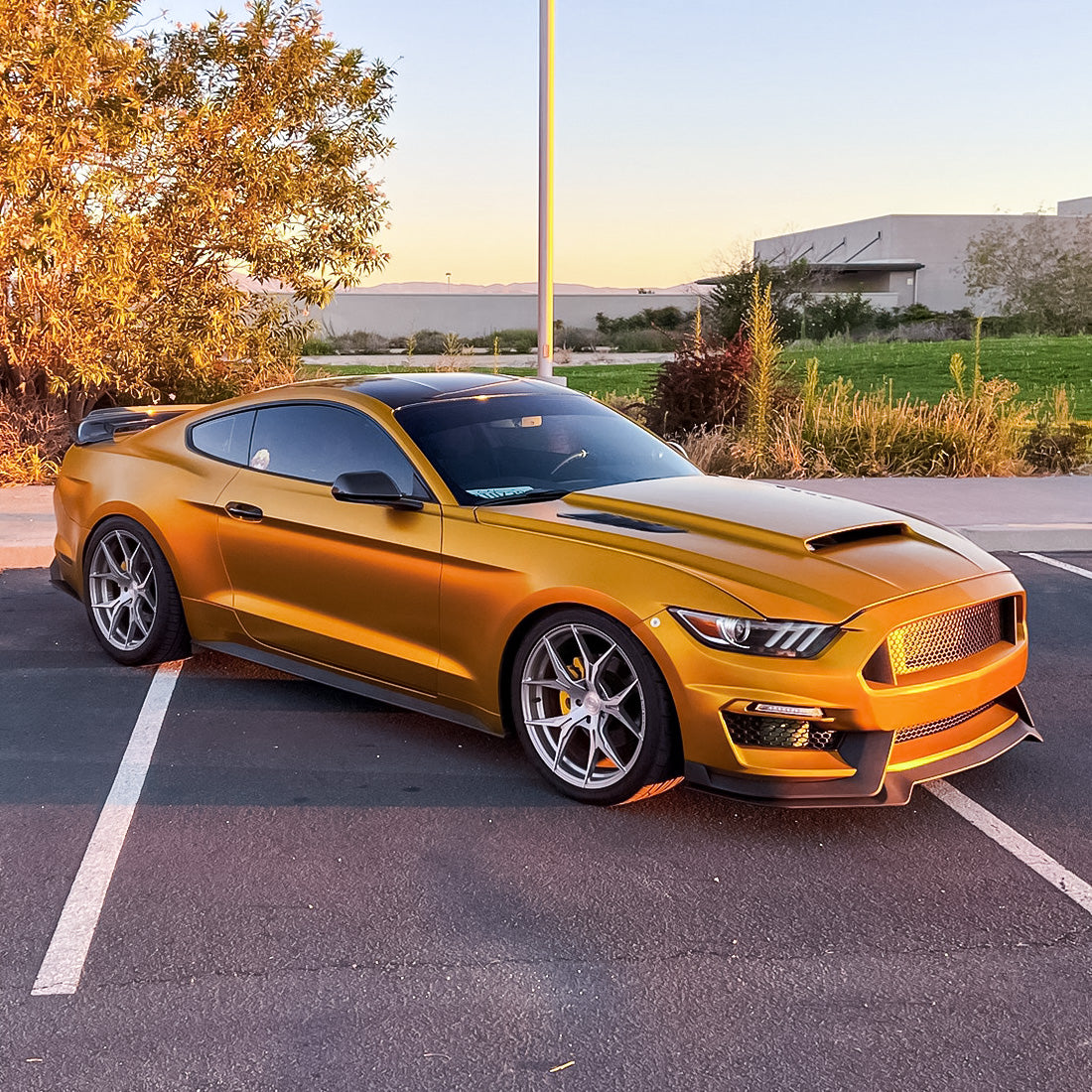 Teckwrap Golden Yellow – Vinyl Wrapping Australia